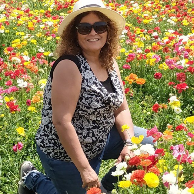 פנינה, 66, תל אביב - "date50plus"