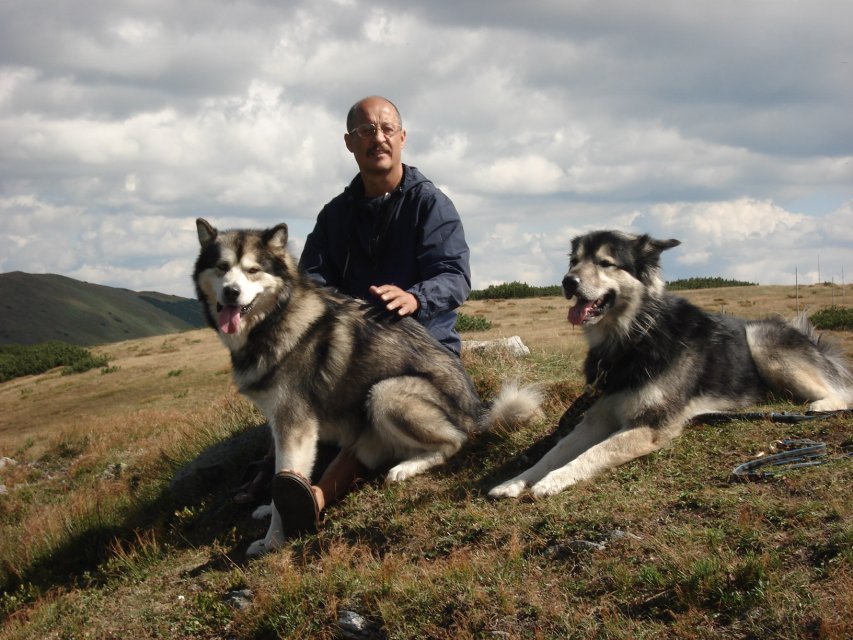 tomito, 57, Wroclaw - "123 Date Me!"